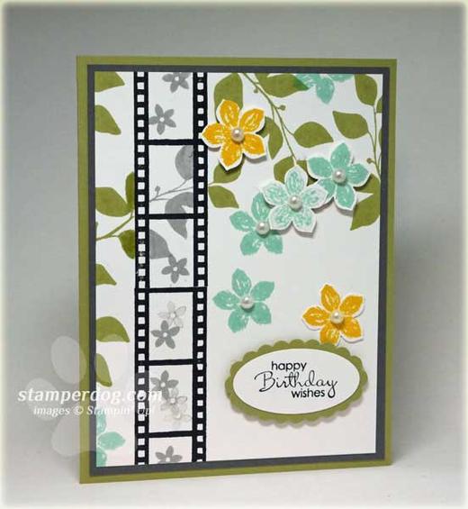 split-negative-birthday-card-stampin-up-demo-ann-m-clemmer